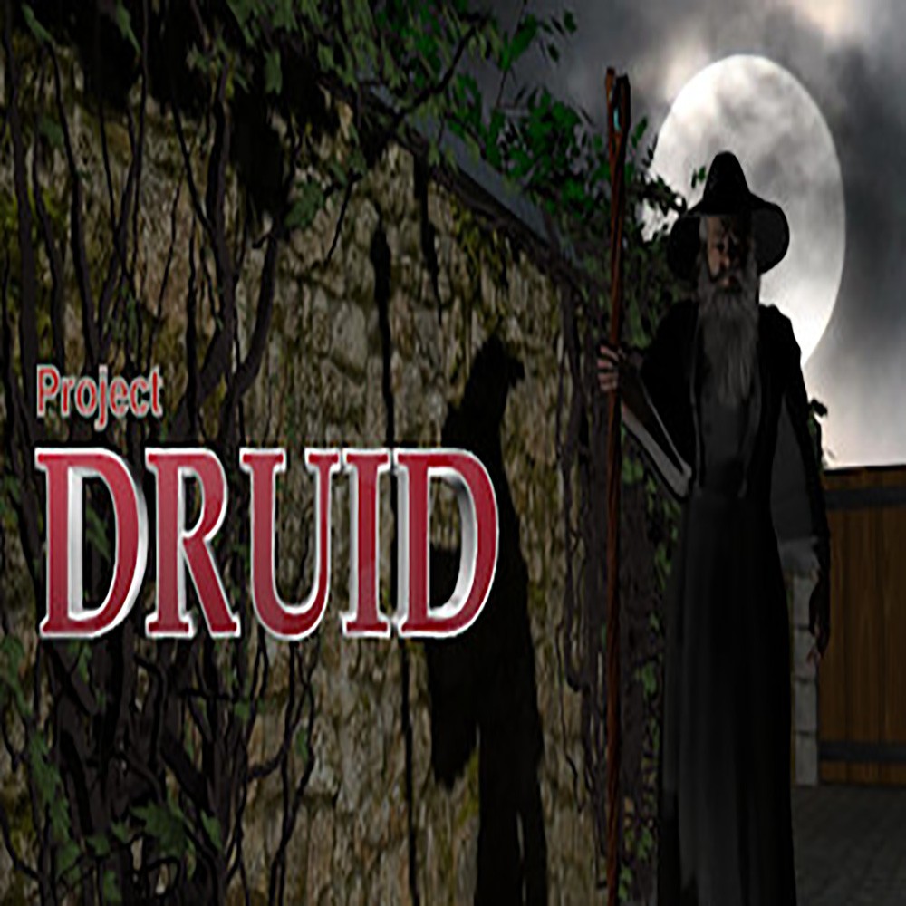 Project Druid - 2D Labyrinth Explorer- - CodeGuru